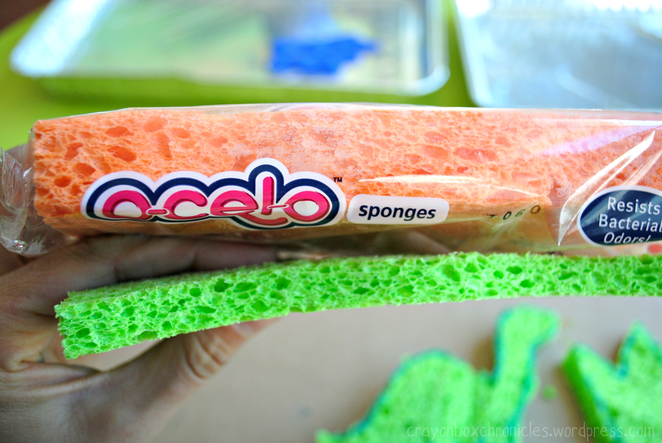 Dinosaur Sponge Paper – Crayon Box Chronicles